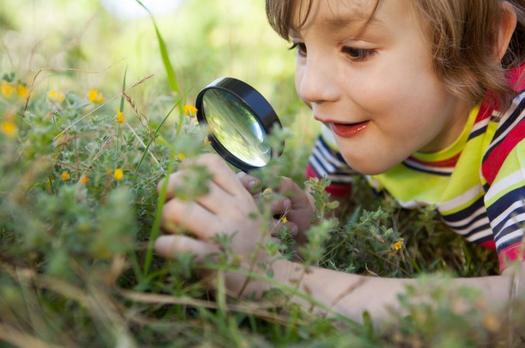What is Waldorf Steiner Education?